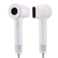 China Dual Voltage Temperature Control Hair Dryer 1600W High Speed Blow Dryer Fast Drying for sale
