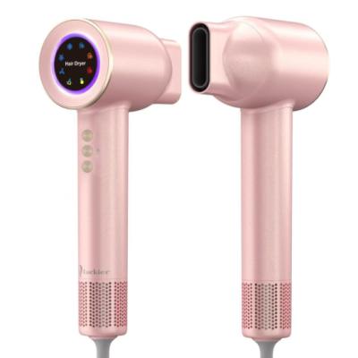 China Dual Voltage Professional Ionic Hair Dryer 110000 RPM High Speed Blow Dryer For Pet for sale