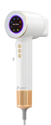 China Luckier Ultra+ BLDC Hair Dryer with 100Hz NTC Thermal Sampling, 110000RPM Brushless Motor, and ±1°C Heat Regulation for sale