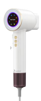 China Luckier High-Speed Plasma Hair Dryer with Silent Operation Cool-Touch Housing and Detachable Filter for Professional Use for sale