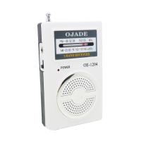 China Portable AM FM Radio DSP Chip 100x62x23mm Private Model with Speaker for sale