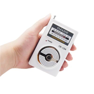 China Portable AM FM Radio DSP Chip 100x62x23mm Private Model with Speaker for sale