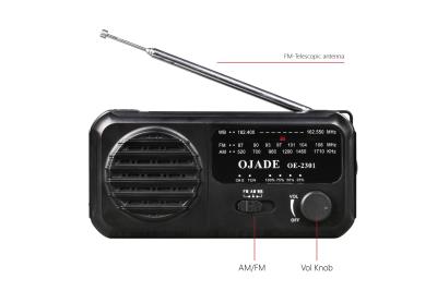 China DSP AM FM WB 3 Band Solar Hand Crank Radio with 2800mAh Power Bank LED Flashlight for sale