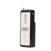 China Portable FM Auto Scan Radio 88-108MHz Built-in Speaker Dry Battery Powered OEM for sale
