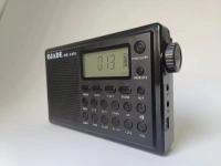 China Portable AM FM SW Digital Radio with Bluetooth Type-C Charger 2000mAh for sale