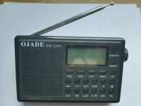 China Bluetooth Support Digital Radio with FM 50 Channel Memory and Portable Design for sale