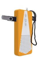 China OJADE OE-101 USB FM Radio Receiver 88-108MHz 1W Built-in Speaker Auto Scan TF Player for sale