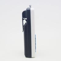 China Private Model FM Speaker Radio 22mm Built In Speaker Dry Battery 3V 2AA for sale