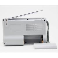 China Desktop AM FM Radio 60dB SNR OEM Custom Logo Promotional Gift 155x45x100mm for sale