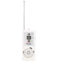 China DEKKO DK-5025 FM Portable Speaker Radio 88-108 MHz Dry Battery Powered OEM Mini Radio for sale
