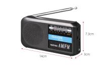 China XIBOMAN DK-1705 Portable AM FM Radio with Bluetooth and Sleep Timer 2xAA for sale