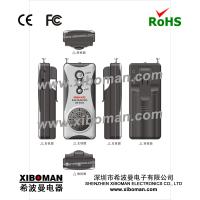 China Portable FM Radio 88-108MHz Auto Scan Built-in Speaker Dry Battery Ultralight DK-5023 for sale