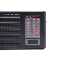 China Customizable Logo AM FM Radio Receiver with Compact Size and Powerful Performance for sale