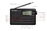 China Portable AM FM Radio Receiver Bluetooth 2000mAh Power Bank Sleep Timer for sale