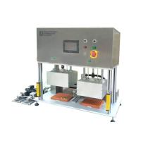China Cylindrical Lithium Battery Electrolyte Filling Machine AC 100V 220V for sale