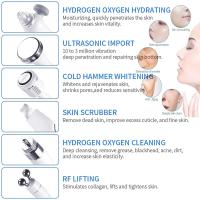 China H2O2 RF Hydrafacial Portable Hydro Dermabrasion Machine 7 In 1 Jet Peel for sale
