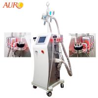 China Cellulite Lipo Fat Freezing Cryolipolysis Machine RF 1000W For Salon for sale
