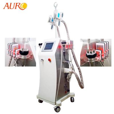 China Cellulite Lipo Fat Freezing Cryolipolysis Machine RF 1000W For Salon for sale