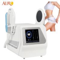 China Hiemt Beautiful Electric Muscle Stimulator Machine RF EMS Therapy Vibration for sale