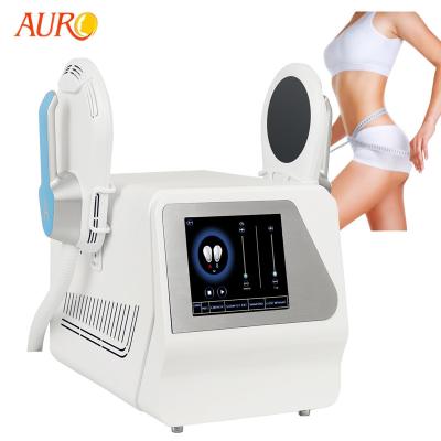 China Hiemt Beautiful Electric Muscle Stimulator Machine RF EMS Therapy Vibration for sale