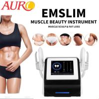 China Butt Lift Spa EMS Sculpting Machine 2 Handle Electric Muscle Stimulation Machine for sale