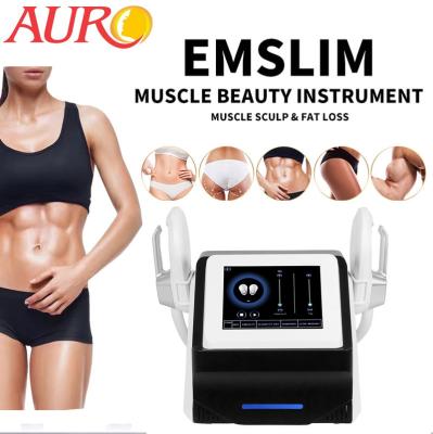 China Butt Lift Spa EMS Sculpting Machine 2 Handle Electric Muscle Stimulation Machine for sale