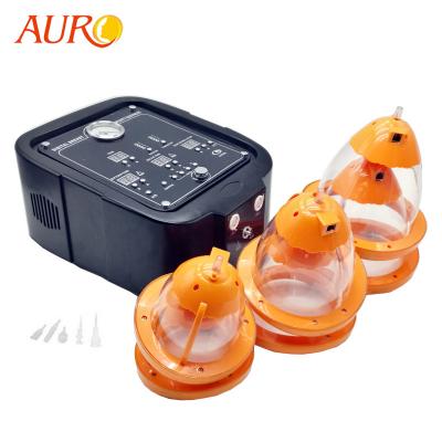 China Beauty Salon Butt Breast Enlargement Pump Machine Effective Cupping Massage Electro Stimulation for sale