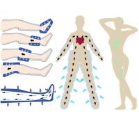 China 750W Far Infrared Pressotherapy 4 In 1 Lymphatic Drainage EMS Detoxifying Pressotherapy Slimming Machine for sale
