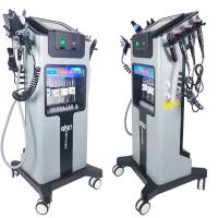 China Facial H2O2 Bubble Hydrogen Oxygen Spray Remove Blackheads Reduce Eye Wrinkles 8 In 1 Machine for sale