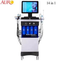China Skin Care BIO LED Hydradermabrasion Hydro Facial Machine 120W 14 Handles for sale
