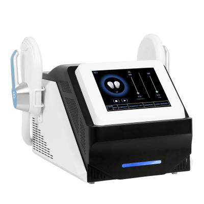 China Salon Electromagnetic Electric Muscle Stimulator Machine Fat Reduction Body Fitness 3000W for sale