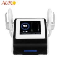 China Salon Electromagnetic Electric Muscle Stimulator Machine Fat Reduction Body Fitness 3000W for sale