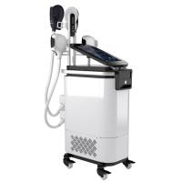 China Electromagnetic Electric Muscle Stimulator Machine Fat Reduction Body Fitness 3000W for sale