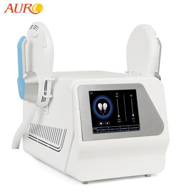 China Therapy EMS Electronic Muscle Building Machine Body Sculpting ABS White Color for sale