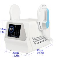 China HI EMT Body Sculpture EMS Body Slimming Beauty Machine 2 Handles For Spa for sale