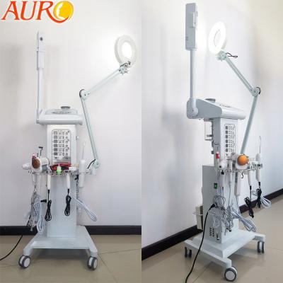 China 14 In One 50Hz - 60Hz Multifunctional Facial Machine 960W Galvanic Skin Care for sale