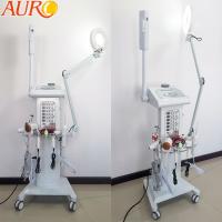 China Multifunctional Facial Beauty Steamer Machine 14 In 1 For Face Lifting for sale