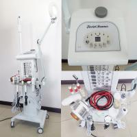 China Multifunctional Facial Beauty Steamer Machine 14 In 1 For Face Lifting for sale