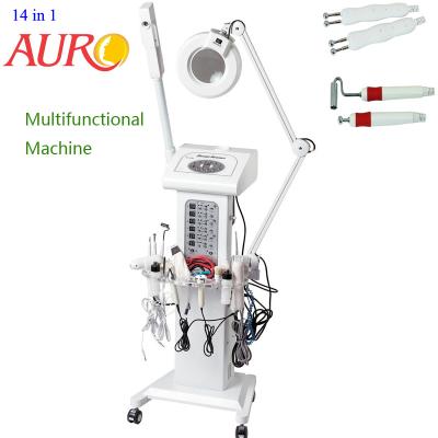 China Ultrasonic Galvanic 14 In 1 Multifunction Facial Machine Vacuum Wrinkle Remover for sale