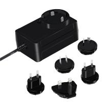 China 12V4A 48W Interchangeable Power Adapter with Multiple Certifications and Universal AC Input for sale