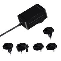 China 12V4A 48W Interchangeable Power Adapter with Multiple Certifications and Universal AC Input for sale