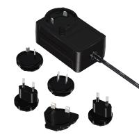 China 12V4A 48W Interchangeable Power Adapter with Multiple Certifications and Universal AC Input for sale