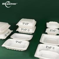 China Leak Proof Rectangle Plastic Lunch Box 20000pcs Hinged Clamshell Disposable Food Container for sale
