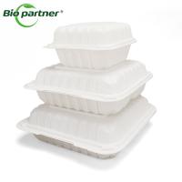 China Leak Proof Rectangle Plastic Lunch Box 20000pcs Hinged Clamshell Disposable Food Container for sale