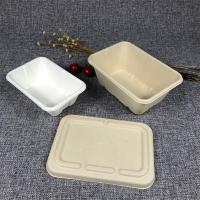 China 180x125x39mm Biodegradable Compartment Takeaway Box for Hot Food Takeout Service for sale