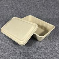 China 180x125x39mm Biodegradable Compartment Takeaway Box for Hot Food Takeout Service for sale