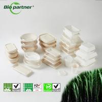 China Biopartner 24oz Disposable Divided Food Container Sugarcane Bagasse Takeaway Box for sale