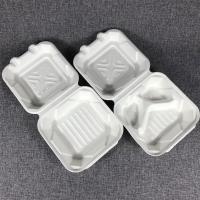 China Eco Friendly Biodegradable Clamshell Container 8x8 Microwave Safe Rectangle for sale