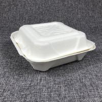 China Eco Friendly Biodegradable Clamshell Container 8x8 Microwave Safe Rectangle for sale