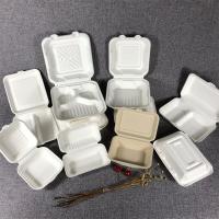 China Free Sample 15% Off Biodegradable Sugarcane Bagasse Food Container for Takeaway Lunch for sale